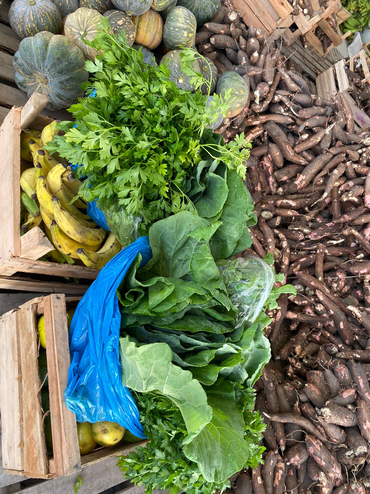 Alimenta Brasil em Porto Seguro se destaca pela qualidade e logística ...